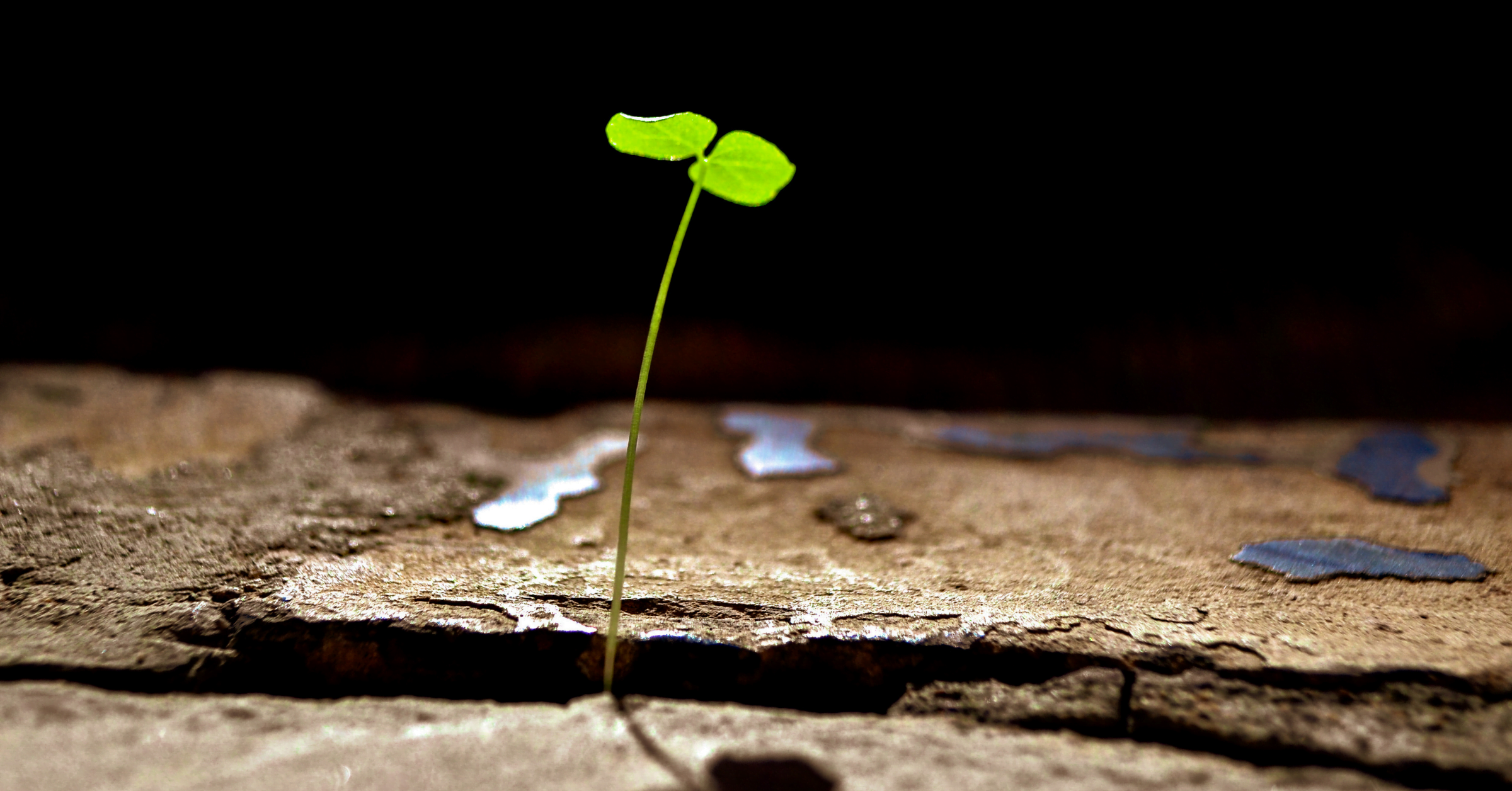 Nothing Ever Stays the Same - ReadySpace Academy